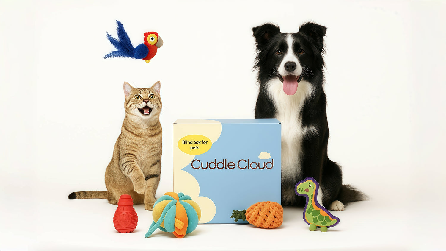 Cuddle Cloud